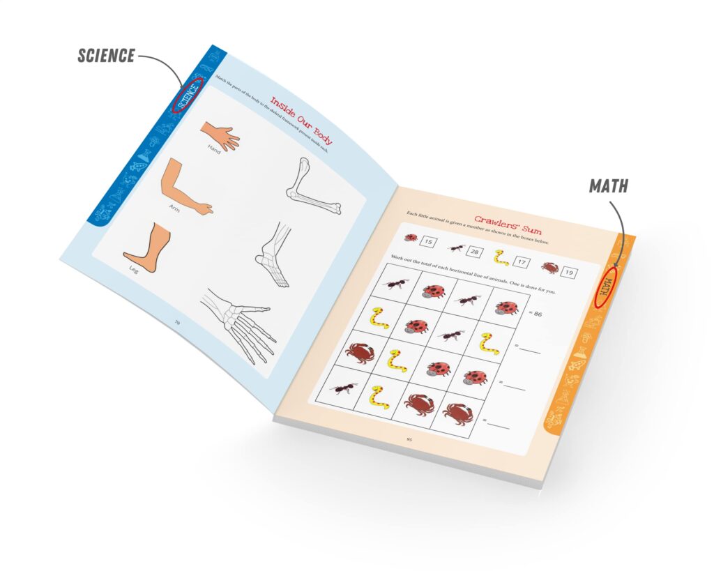 100 + STEAM ACTIVITIES (Brain Training) - The English Book