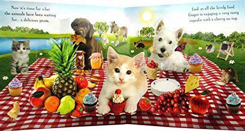 Furry Friends Pop-Ups - The English Book