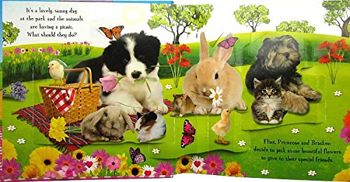 Furry Friends Pop-Ups - The English Book